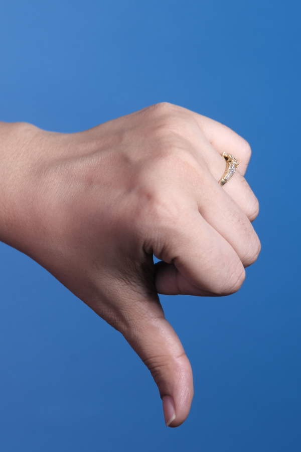 SLICERS vs RECEO-VS: Which Is Better? - Couch Courses